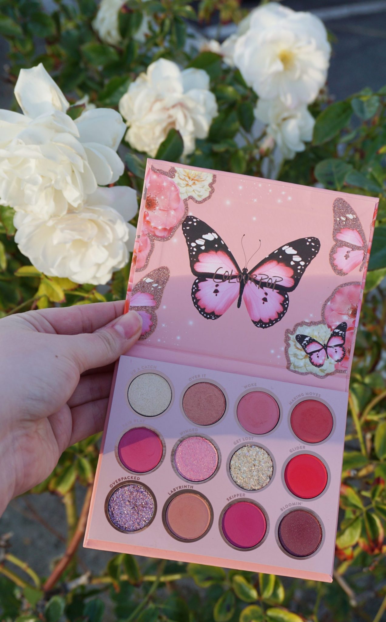 Colourpop Butterfly Palettes