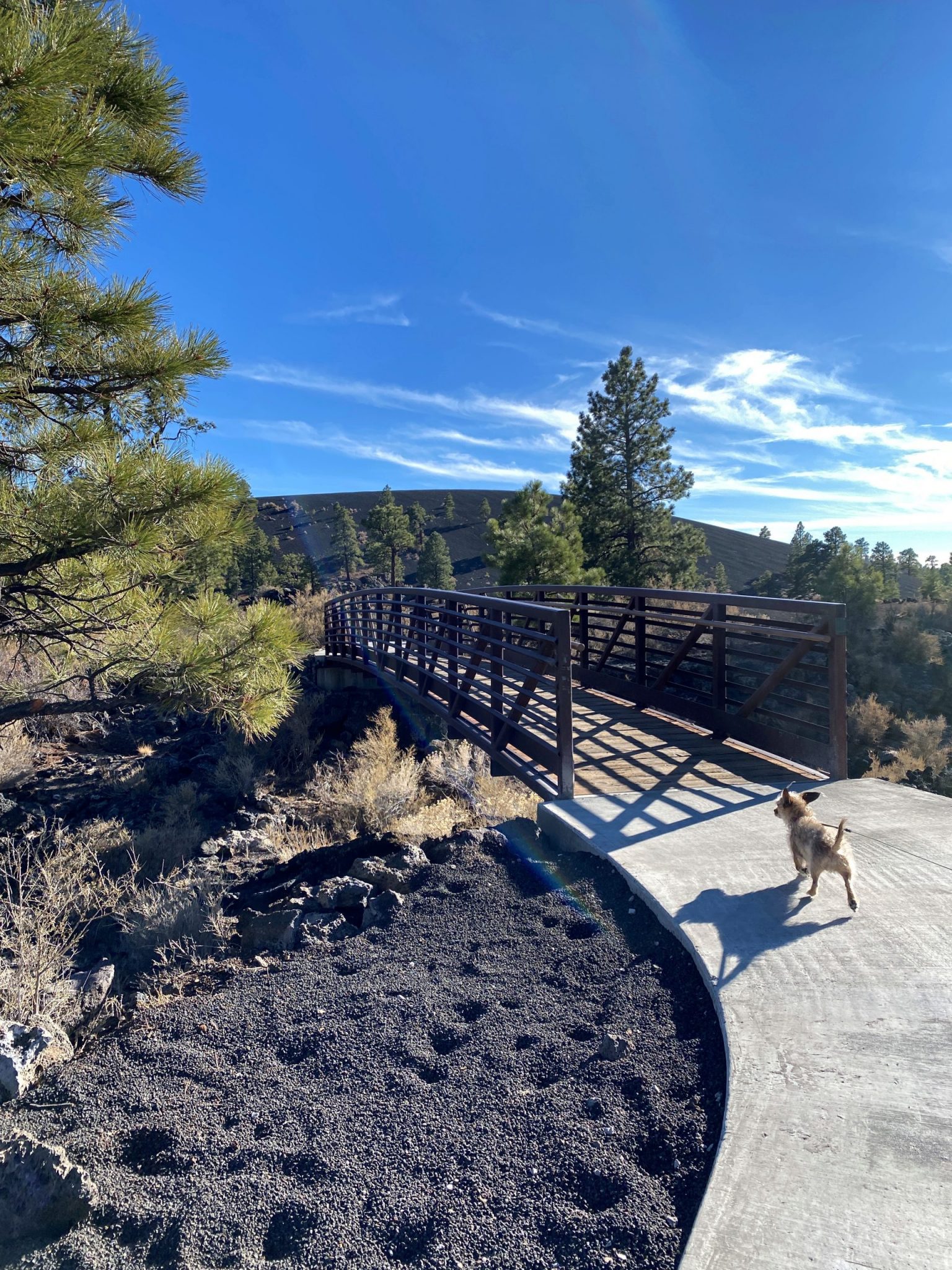 Sunset Crater, Aspen Corner and Flagstaff (Part 2)
