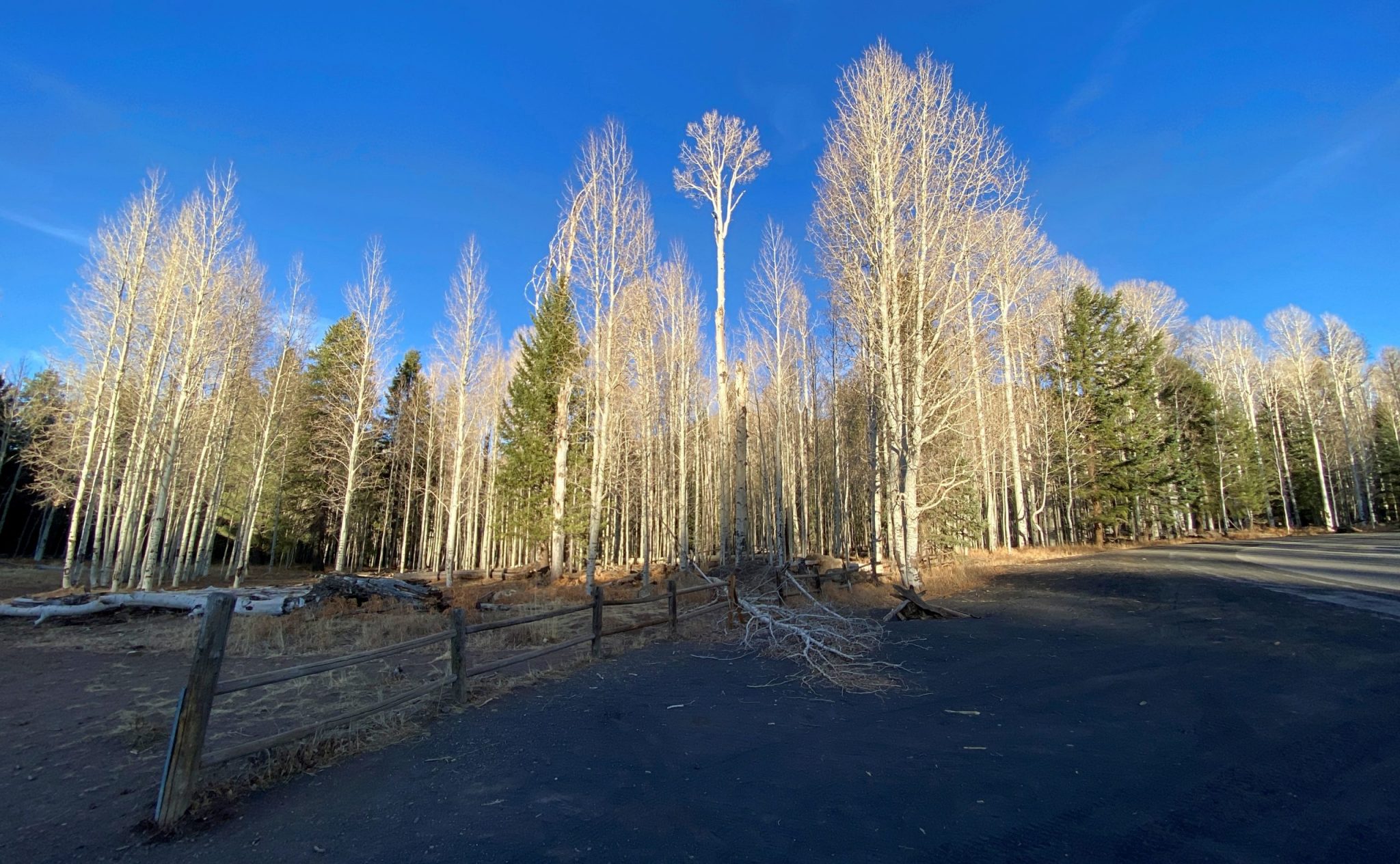 Sunset Crater, Aspen Corner and Flagstaff (Part 2)