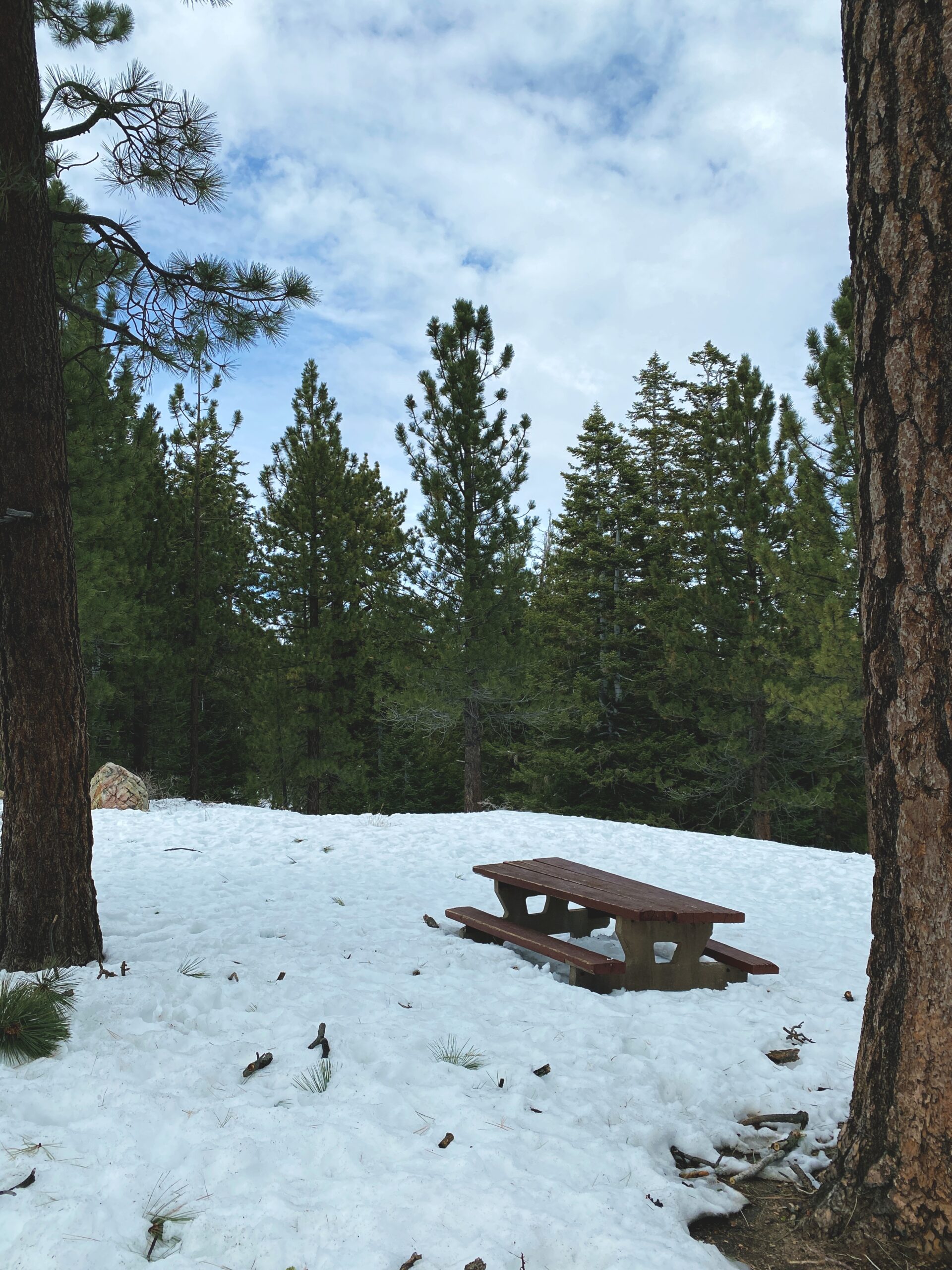 Mt. Pinos Nordic Base