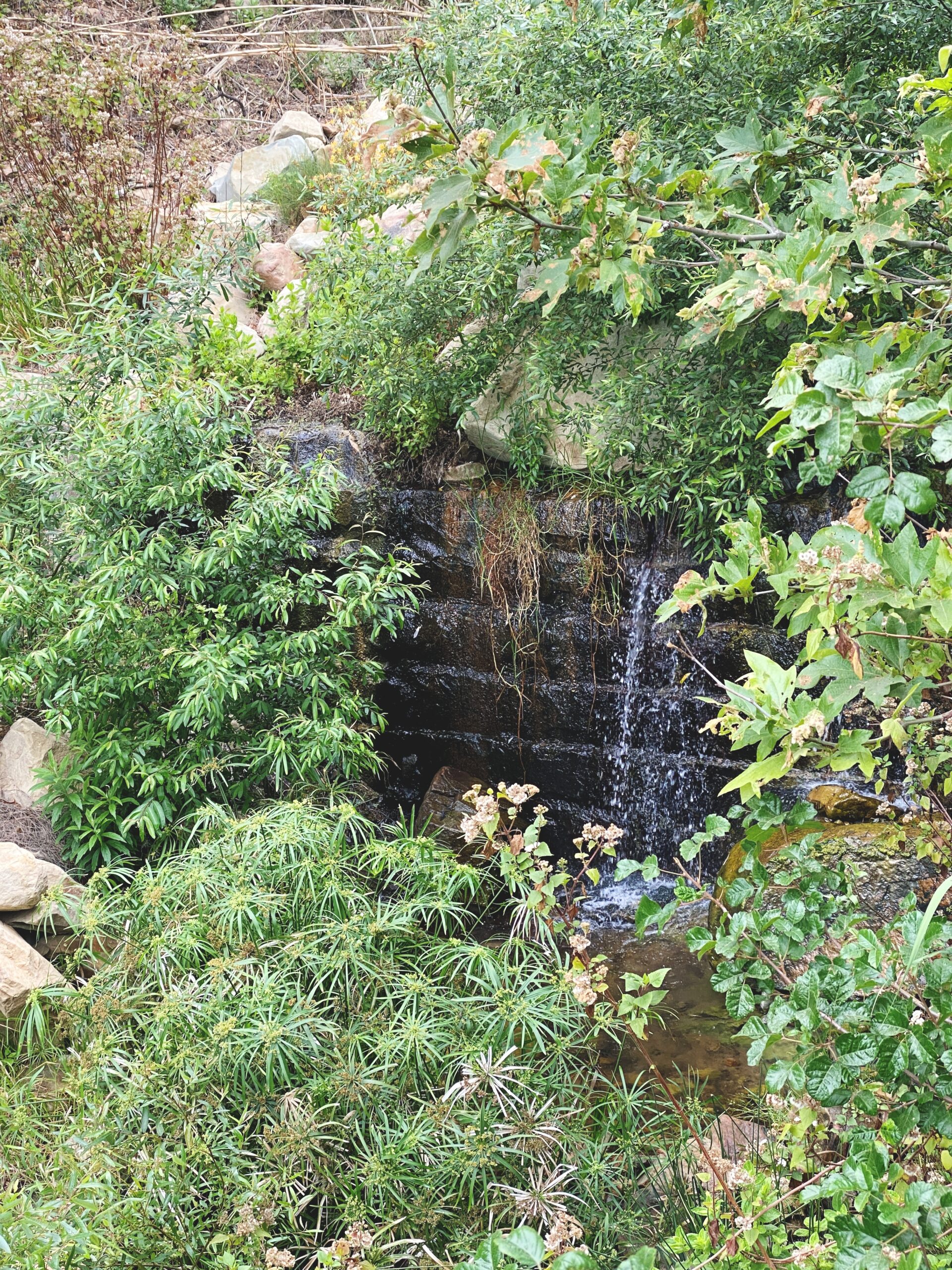 Santa Barbara Hot Springs